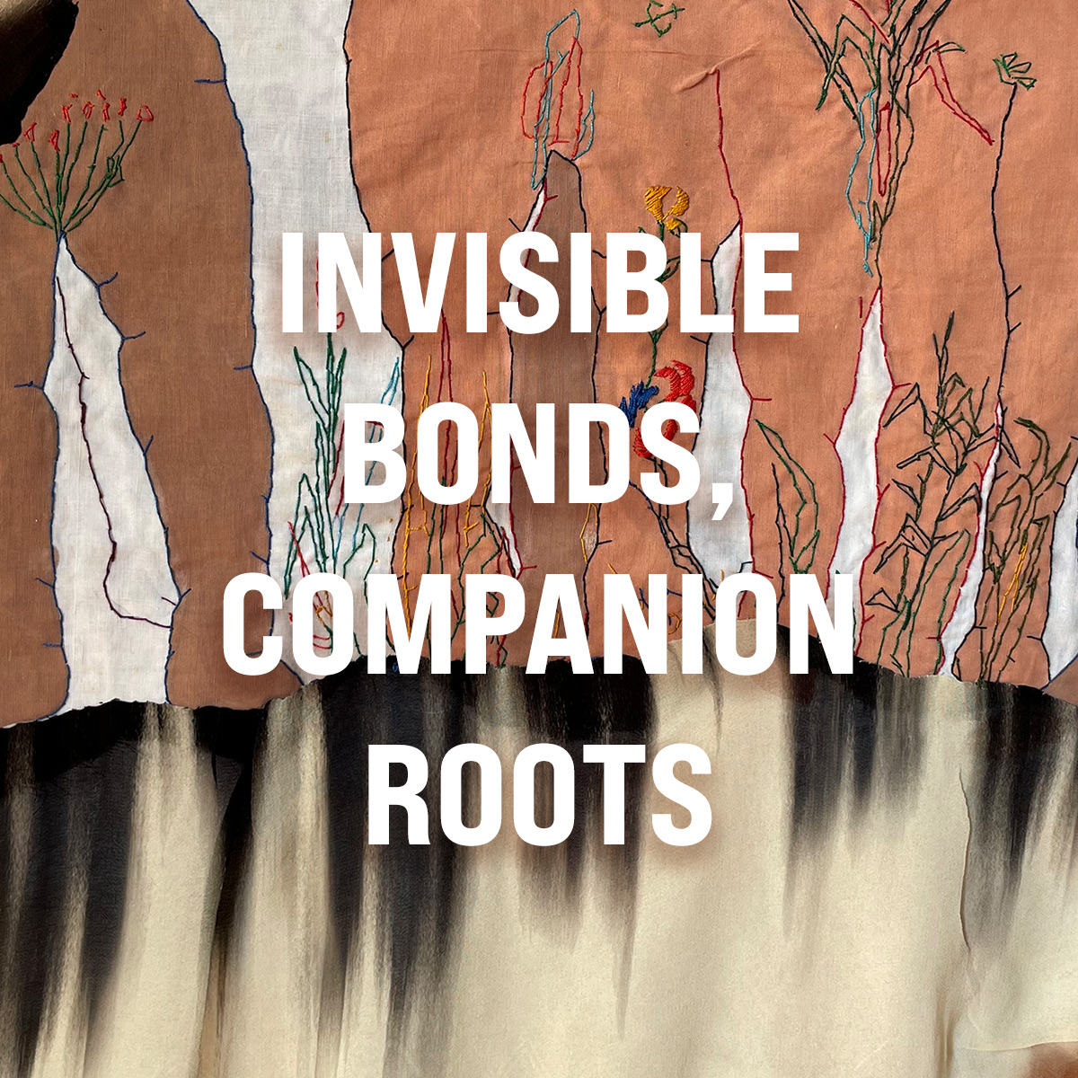 Gözde İlkin - Invisible Bonds, Companion Roots | Viewing Room